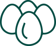 Cauliflower Pizza Crusts & Wraps | Low Carb & Gluten Free Pizza Crust ...